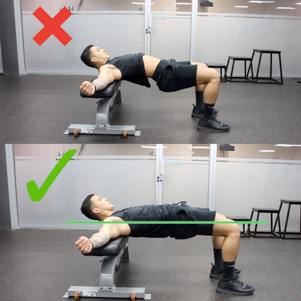 Hip Thrusts Exercise