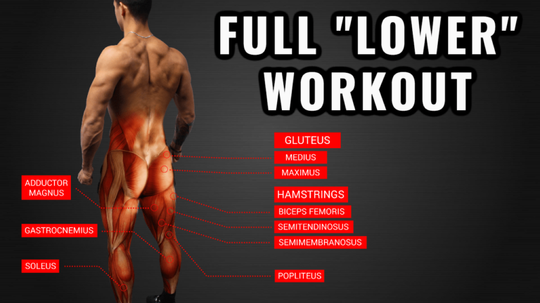 Lower Body Leg Workout Exercises And Routines For The Gym