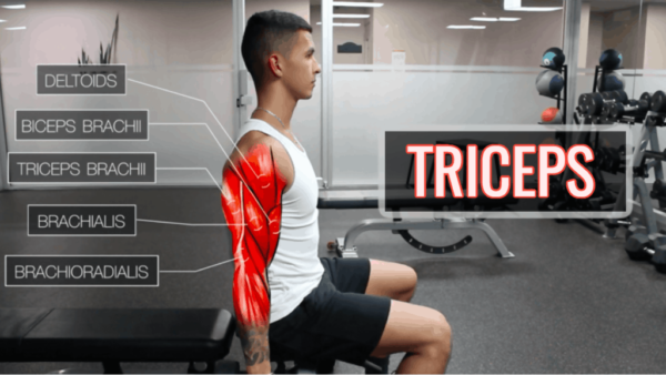 The Best Science Based Triceps Workout For Growth