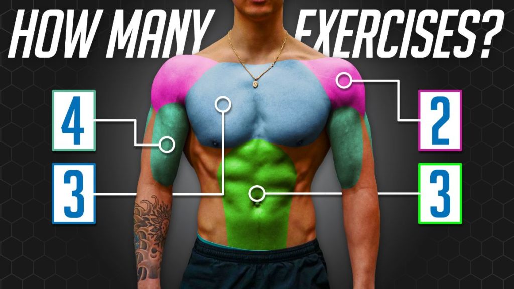 How Many Exercises Per Muscle Group For MAXIMUM Growth 