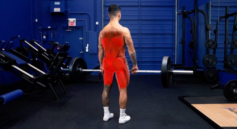 The Top 10 Best Compound Exercises For Stronger Legs | Ultimate Guide