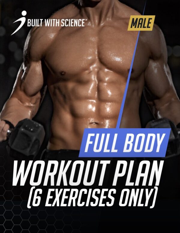 Male / Female Muscle Building Workout Routine